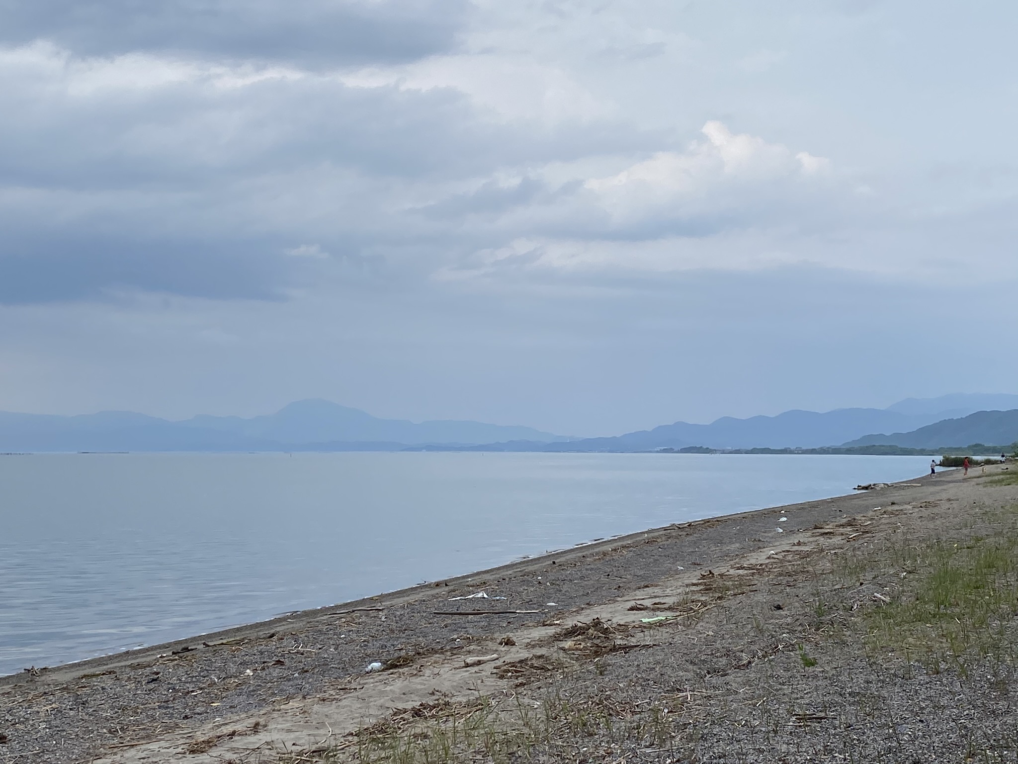 The largest lake in Japan and the coastal plants and insects there ...